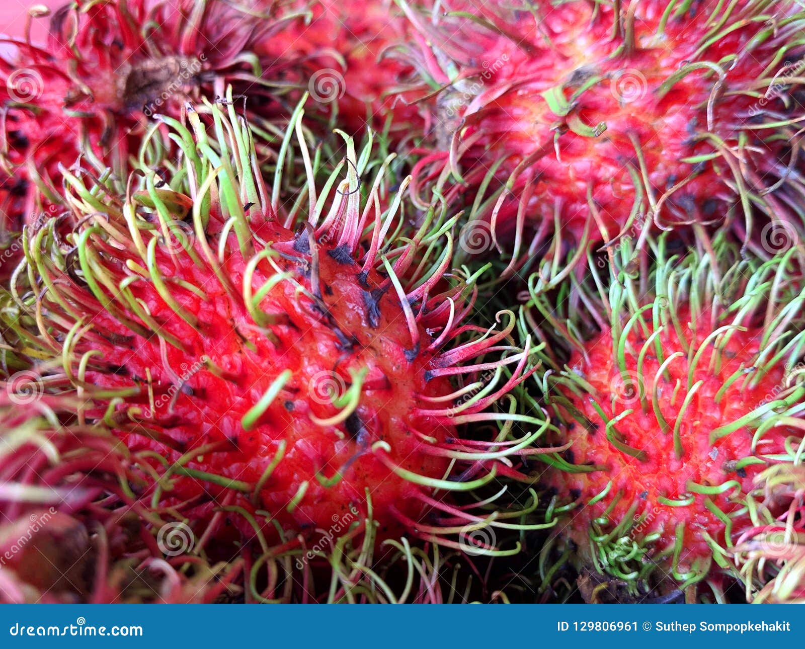 Red peel of rambutan stock image. Image of peel, texture - 129806961
