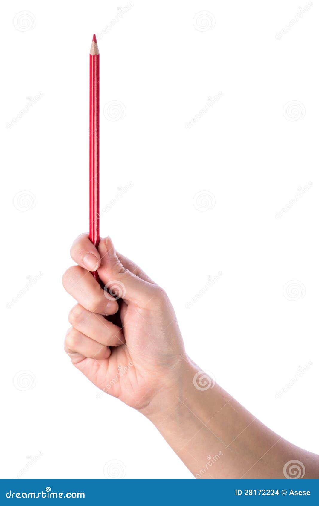 Red pencil in hand stock photo. Image of marketing, white - 28172224