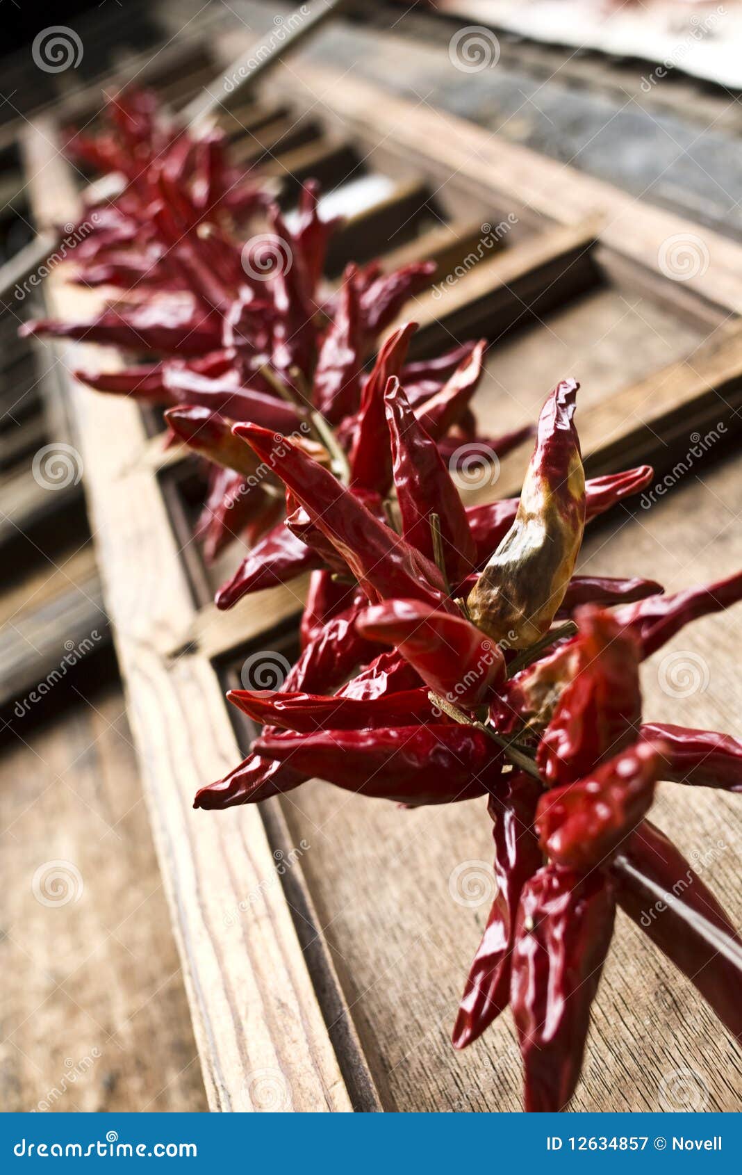Red peper stock image. Image of village, winter, yard - 12634857