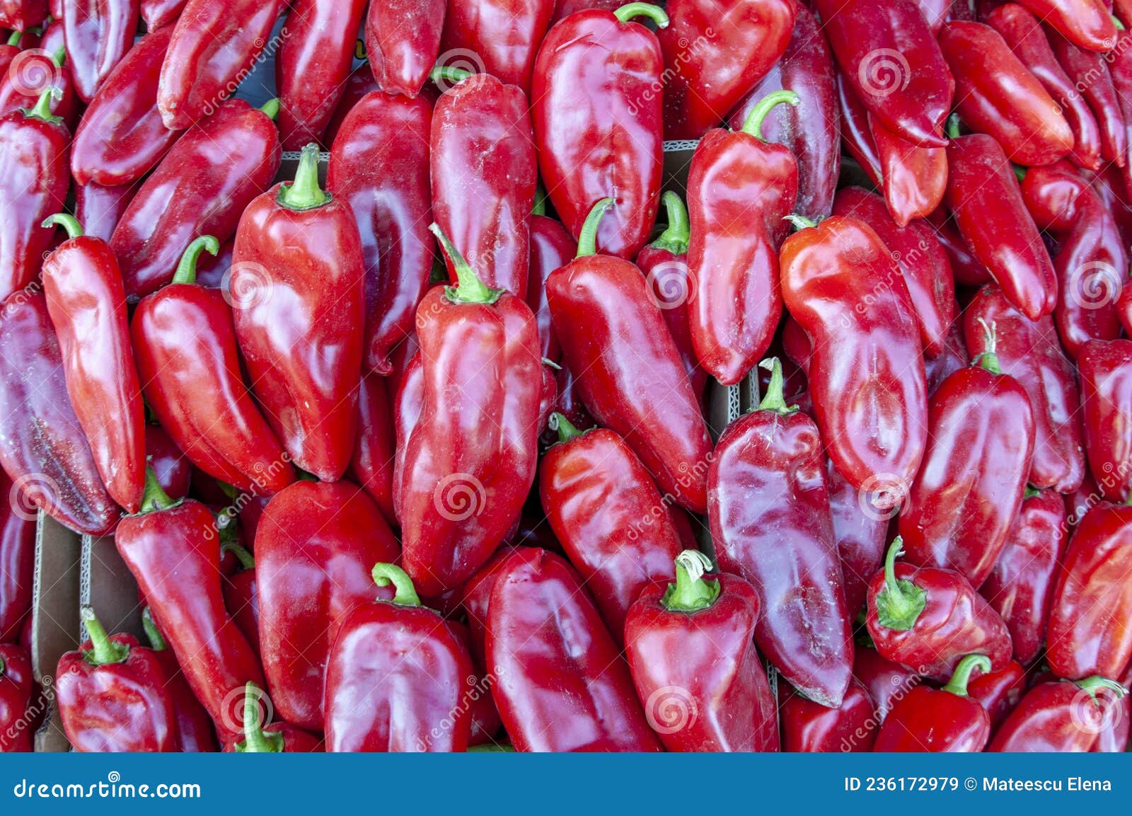Red peper in the market stock image. Image of fresh - 236172979