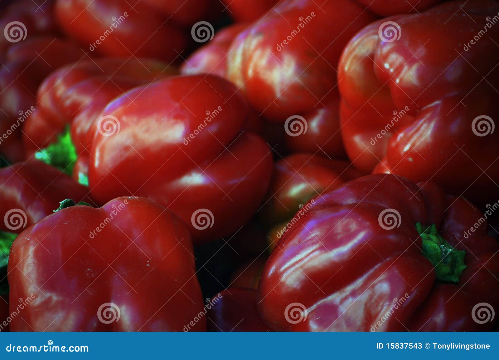 Red pepper stock image. Image of green, salad, pepper - 15837543