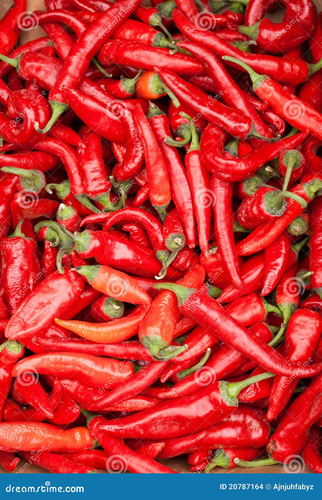 Red pepper stock photo. Image of sale, background, agricultural - 20787164