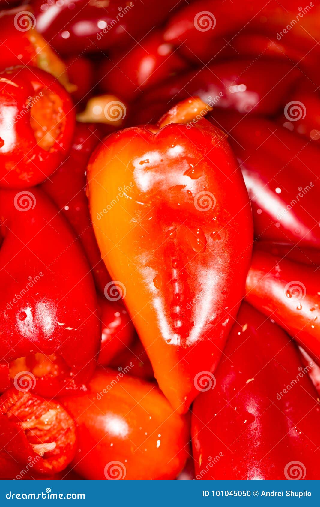Red pepper as background stock photo. Image of cultivated - 101045050
