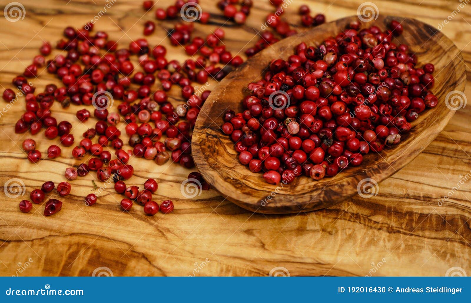 Red pepper berries stock photo. Image of black, christmasberry - 192016430