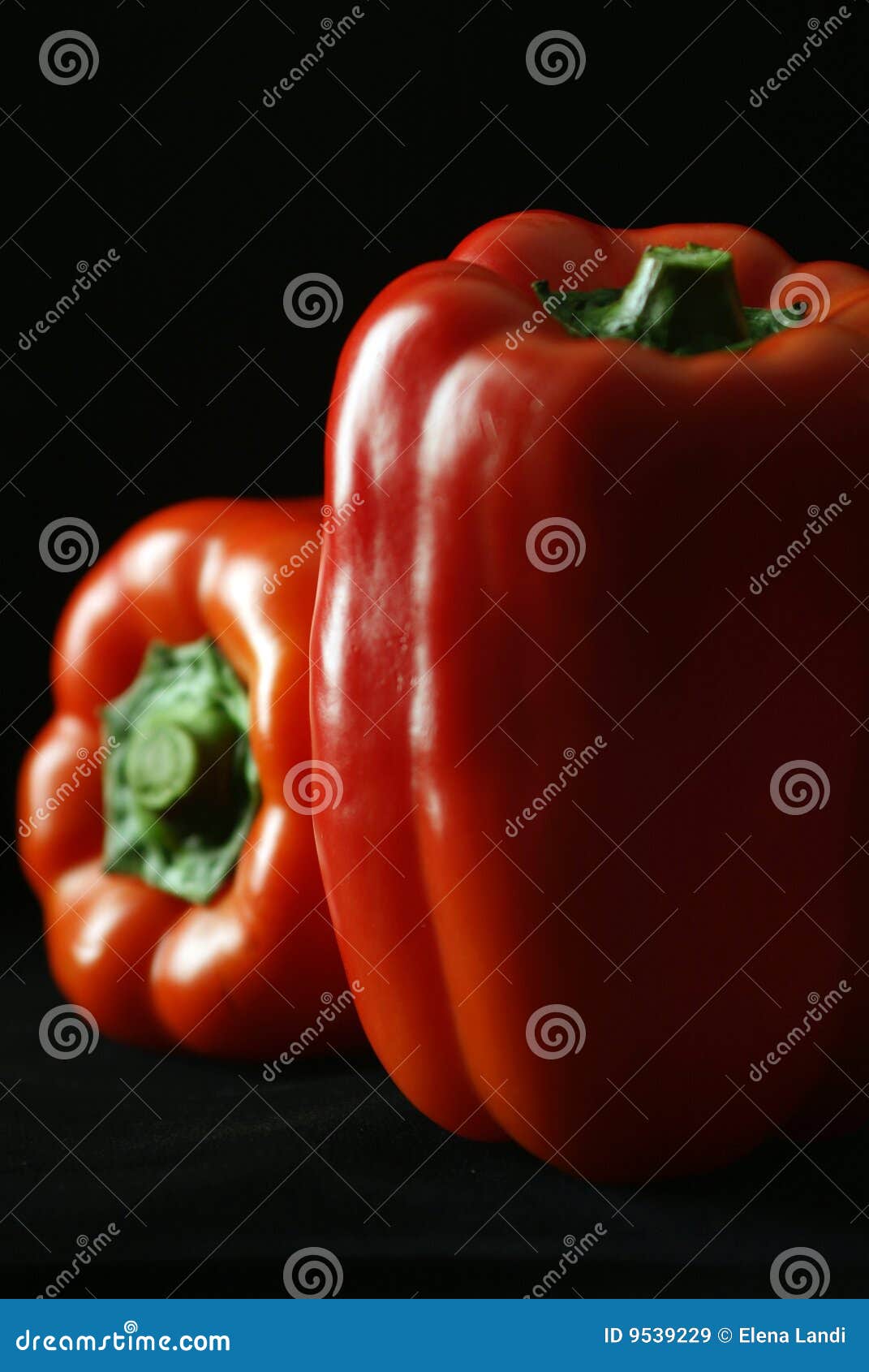 Red pepper on black stock image. Image of pepper, black - 9539229