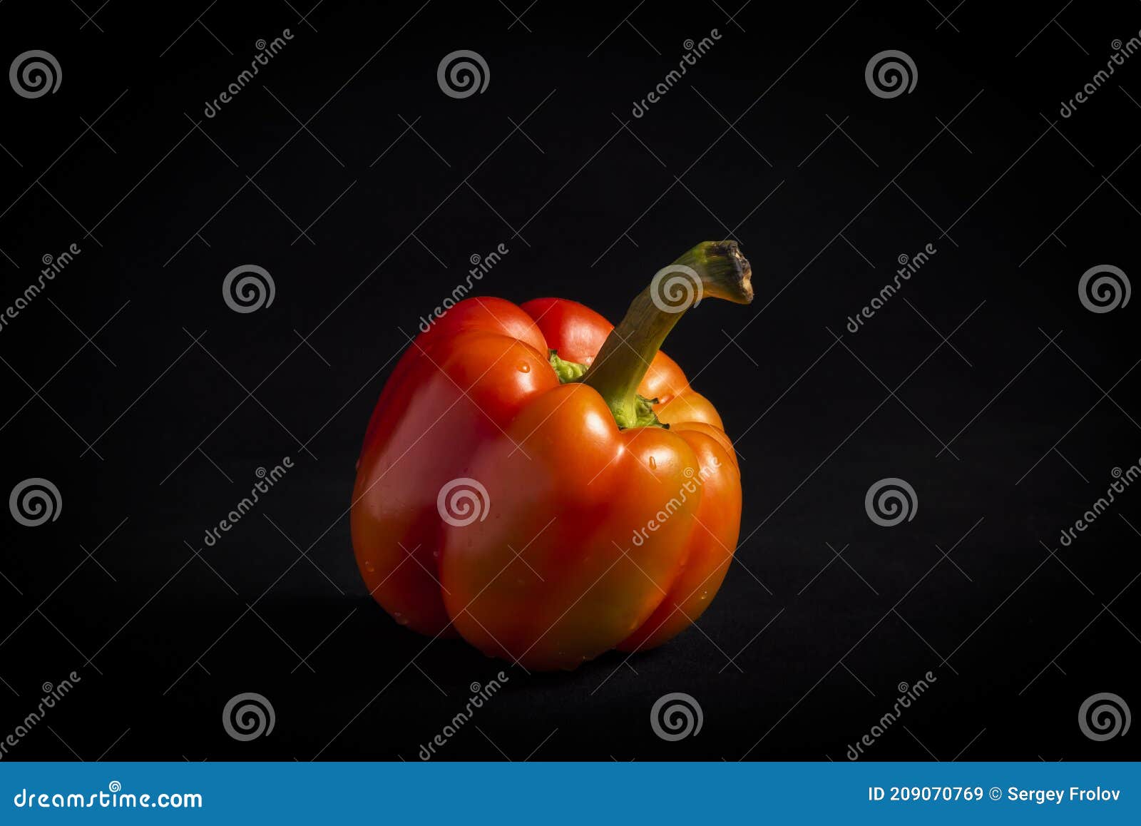 Red Pepper on a Black Background Stock Image - Image of healthy, black ...