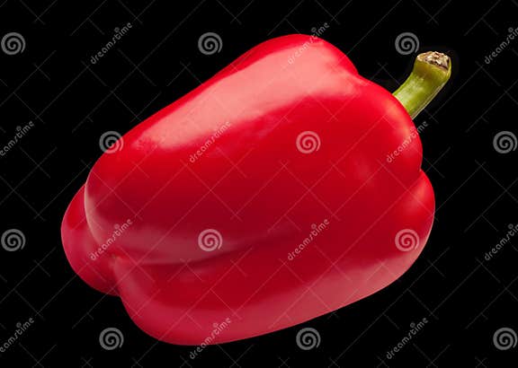Red pepper on black stock photo. Image of ingredient - 52494166