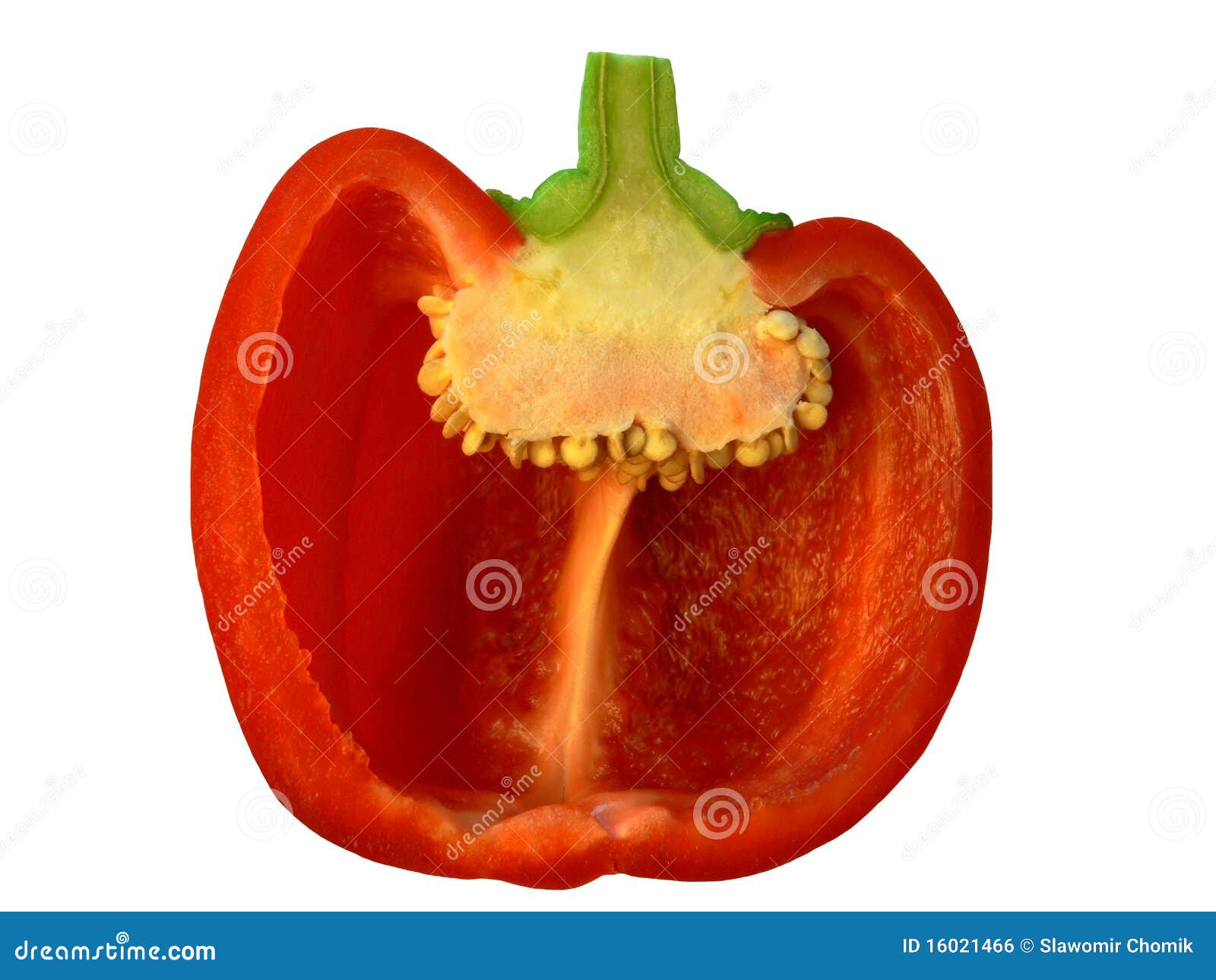 Red Pepper in a Cross-section Stock Photo - Image of seeds, tail: 16021466