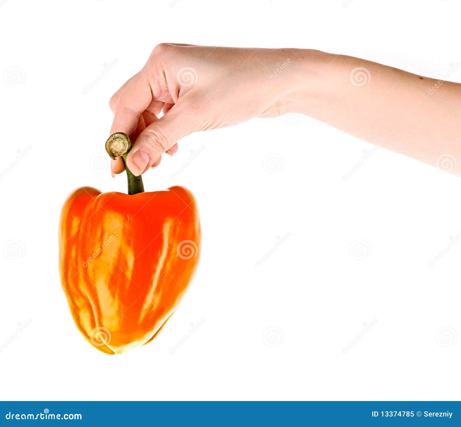 Red Pepper in Hand Isolated Stock Image - Image of healthy, hold: 13374785