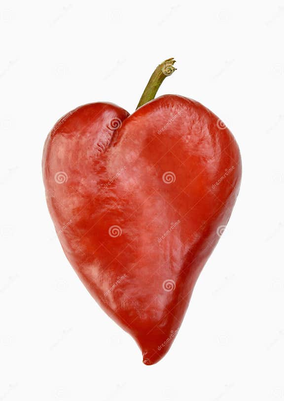Red pepper in heart shape stock image. Image of white - 34197861