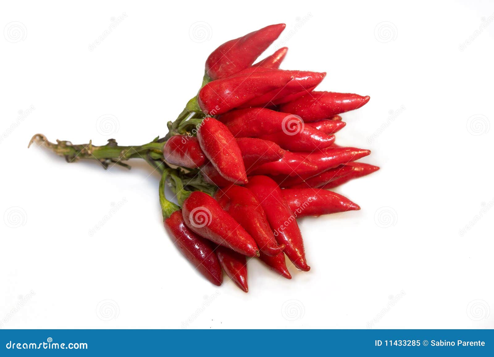 Red pepper isolated stock image. Image of mexico, burn - 11433285