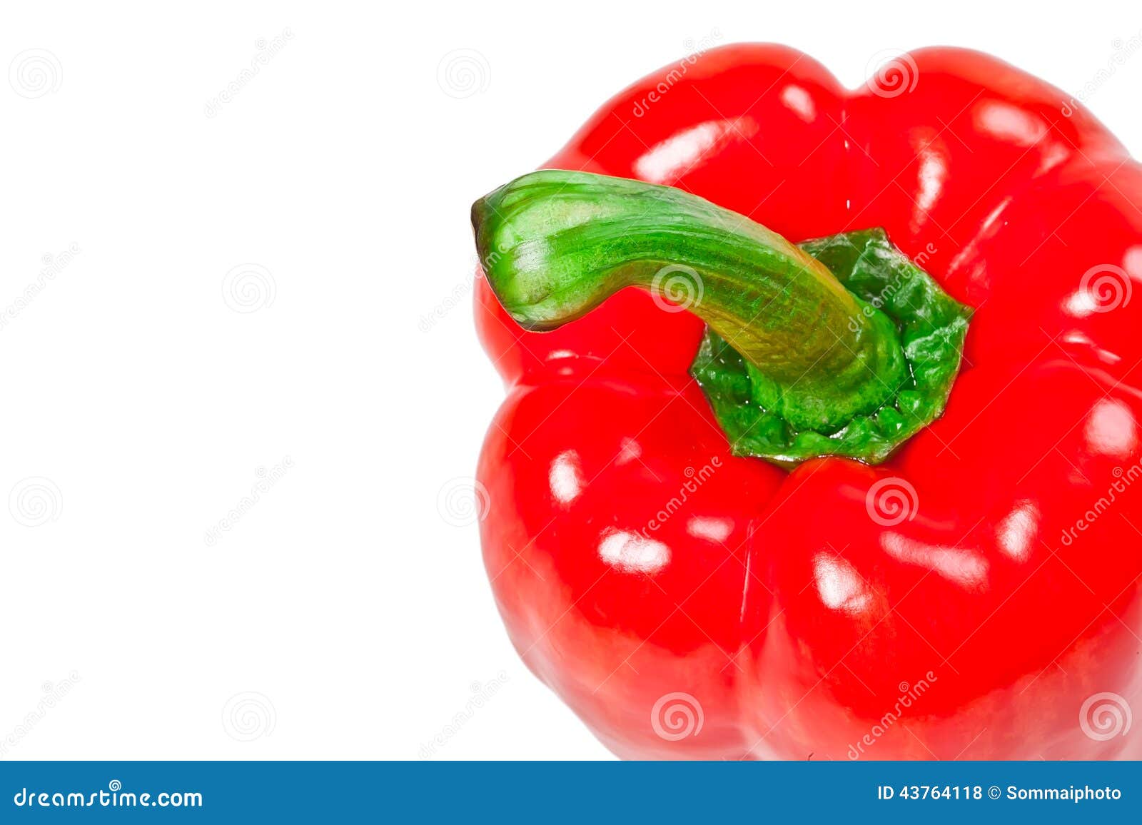 Red Pepper single stock photo. Image of nature, macro - 43764118
