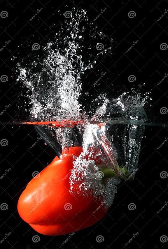 Red pepper splash stock photo. Image of isolated, ingredient - 18439610