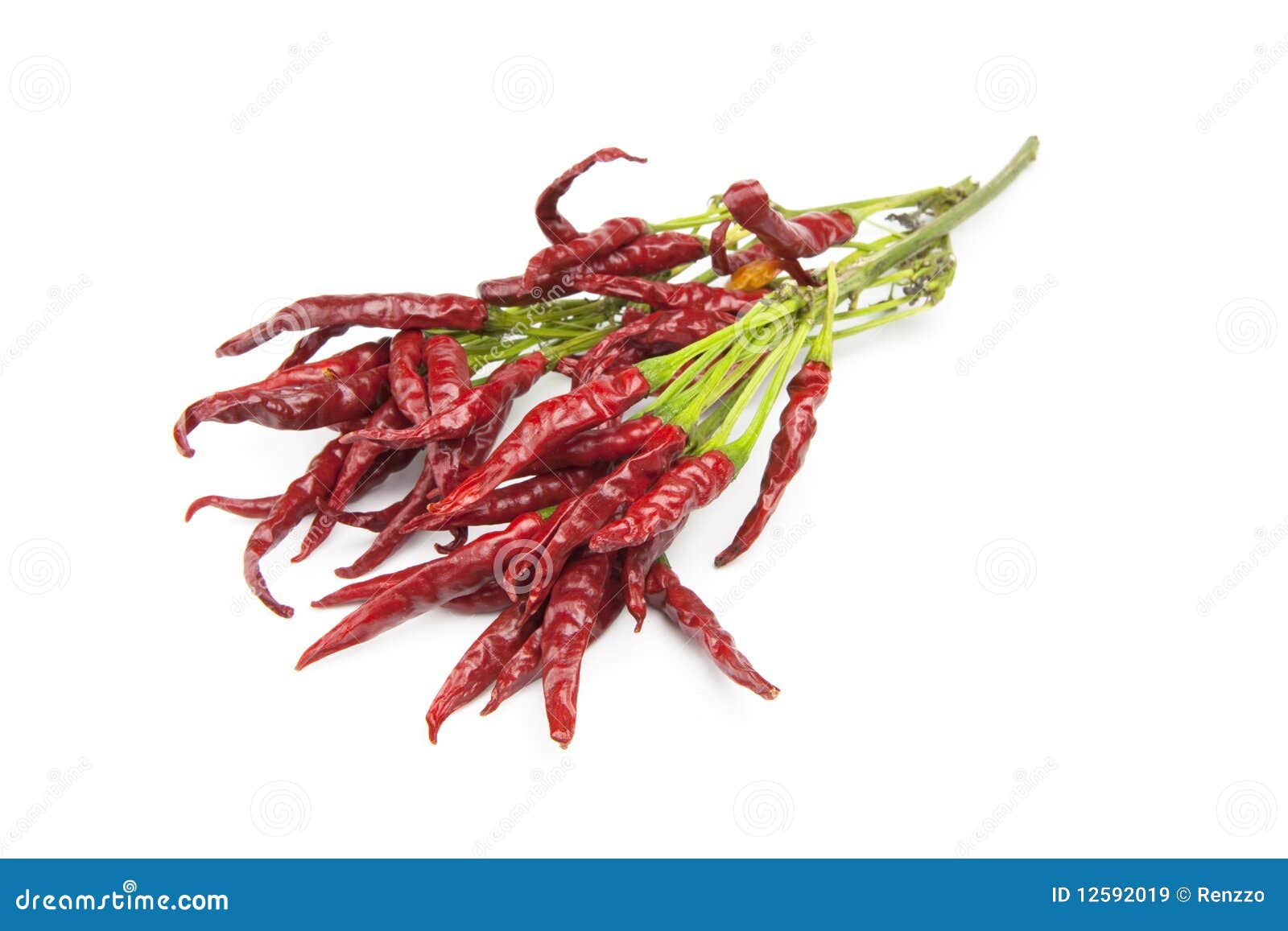 Red Pepper with Stem, Isolated on White Stock Image - Image of habanero ...