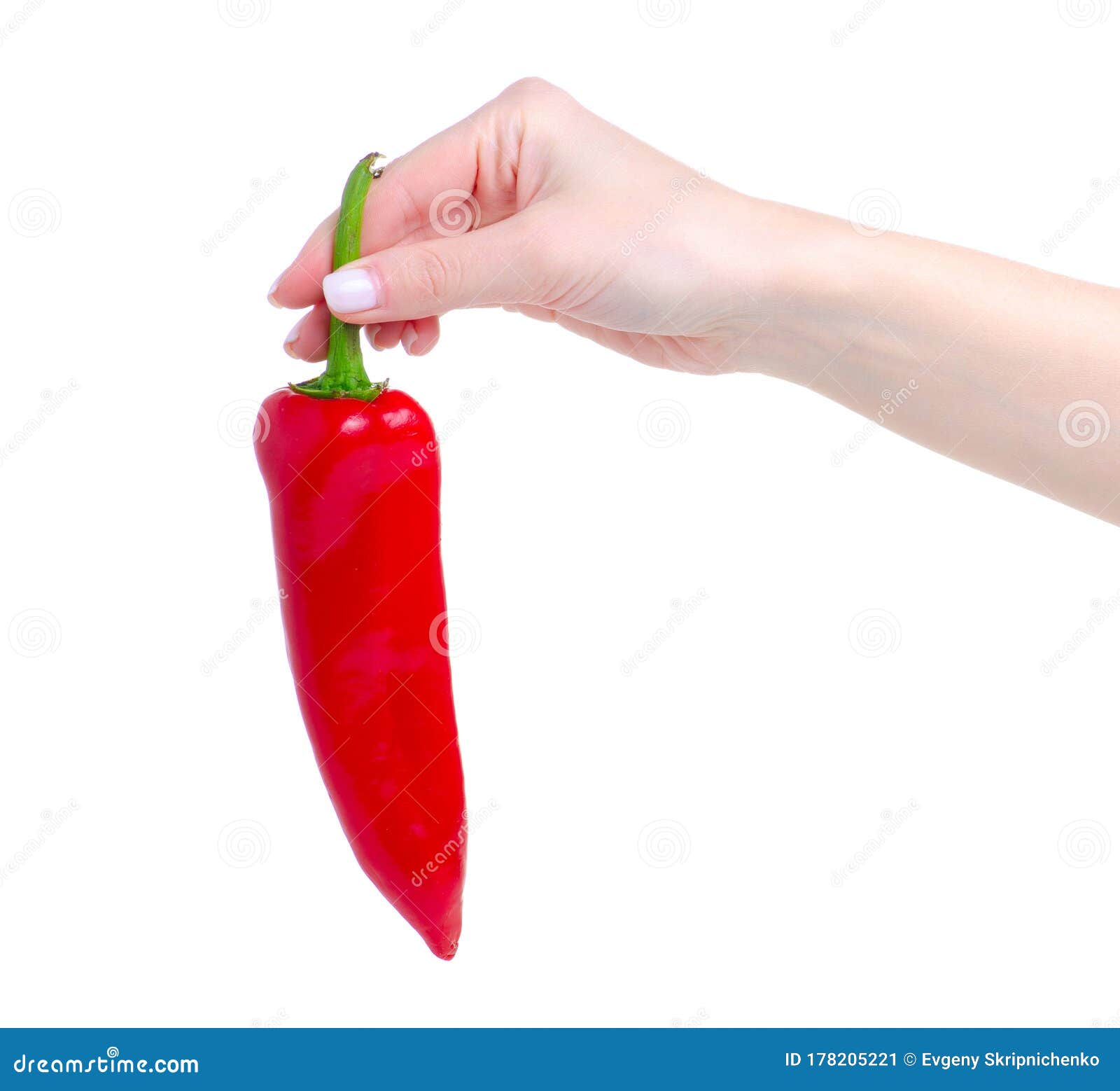 Red Pepper Sweet Kapi in Hand Stock Image - Image of kitchen, cooking ...