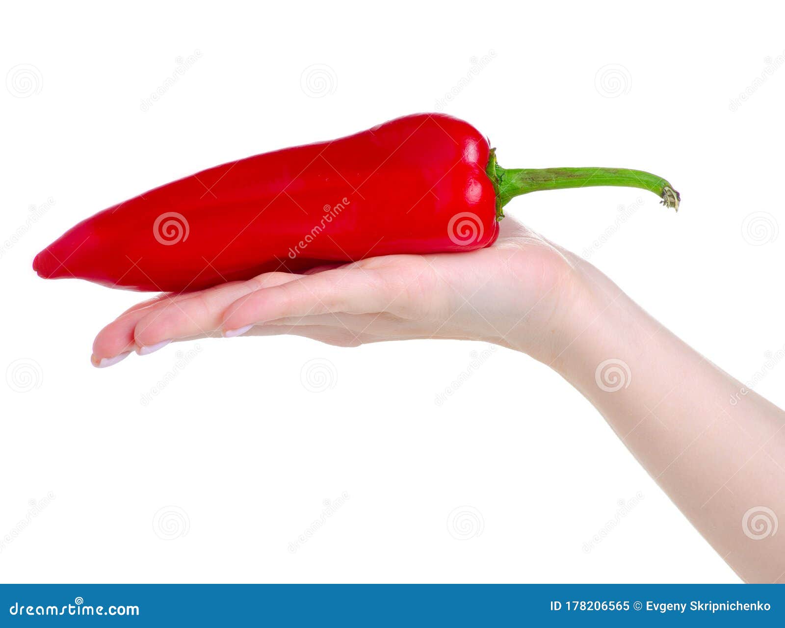 Red Pepper Sweet Kapi in Hand Stock Image - Image of cayenne, nutrition ...