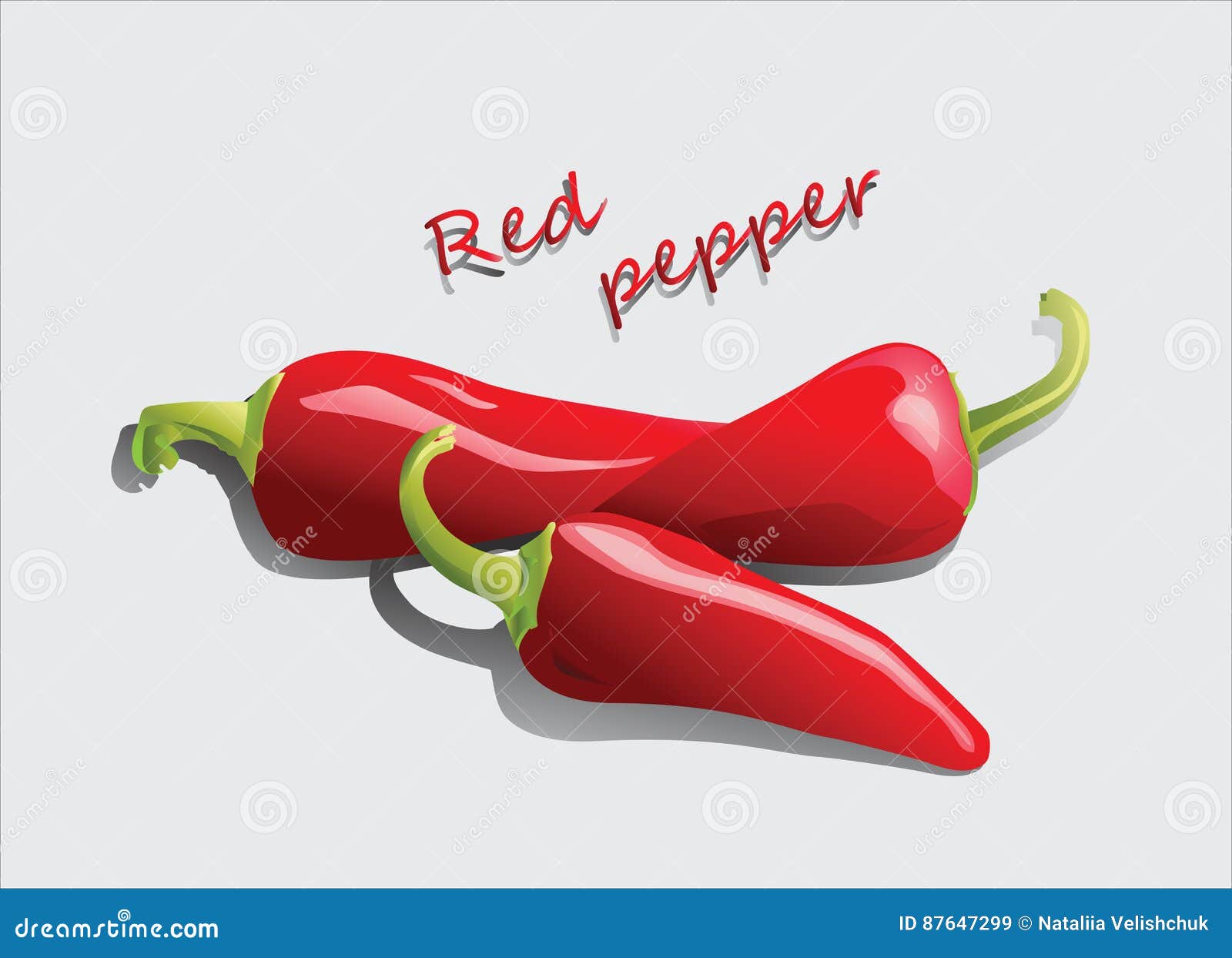 Red Pepper. on White Background Stock Vector - Illustration of ...