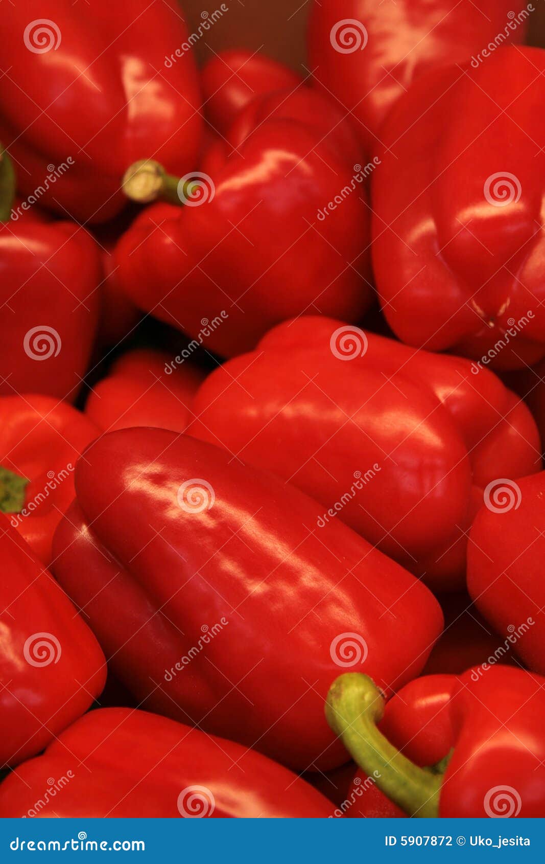 Red peppers stock photo. Image of capsicum, plant, yummy - 5907872