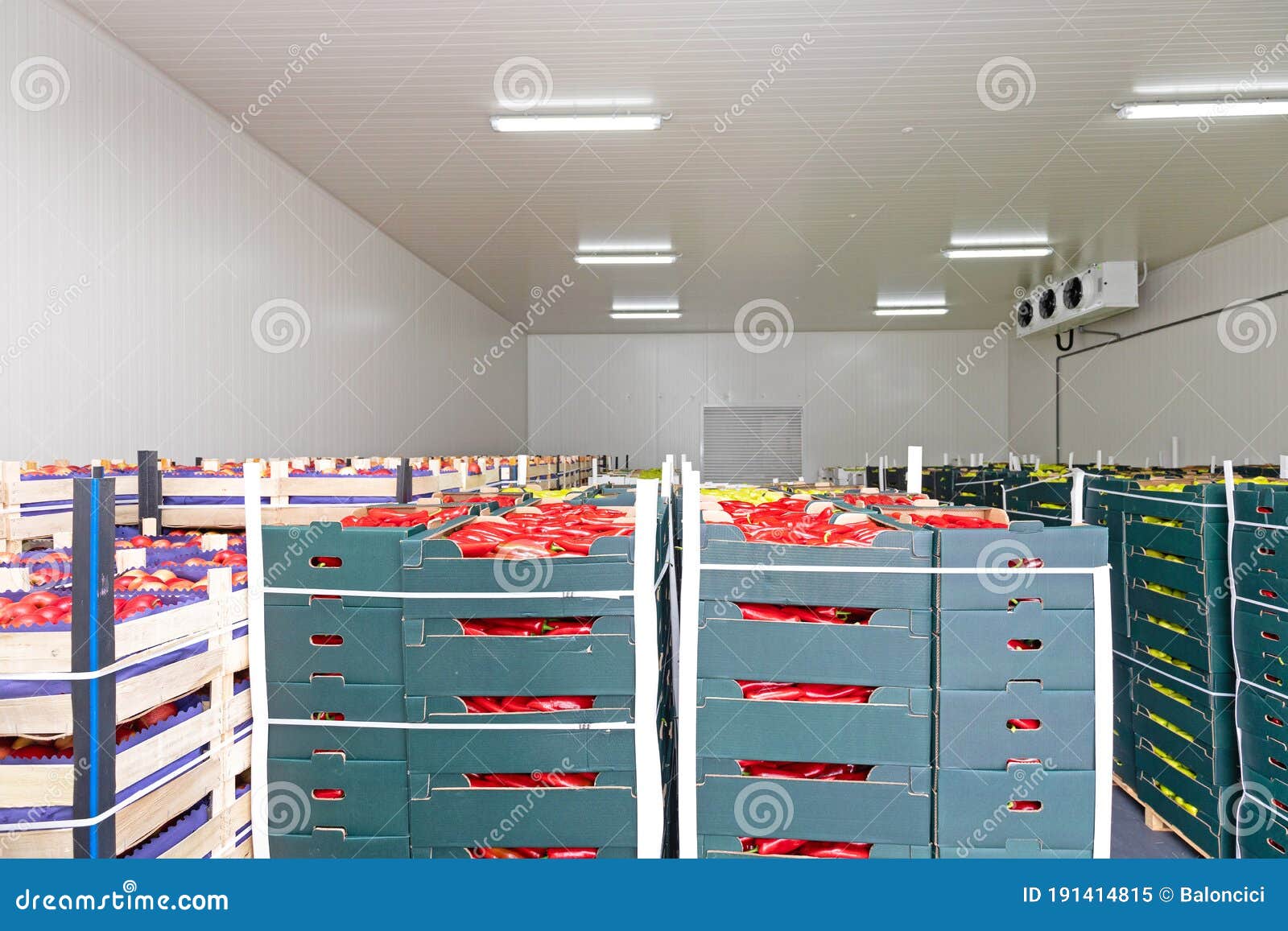 Red Peppers Storage stock image. Image of produce, fruit - 191414815