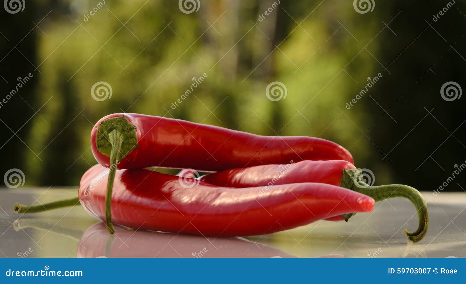 Red Peppers in the Summer Rain Stock Image - Image of healthy ...