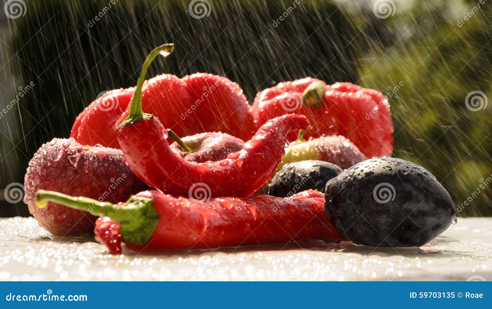 Red Peppers in the Summer Rain Stock Image - Image of clean, garden ...