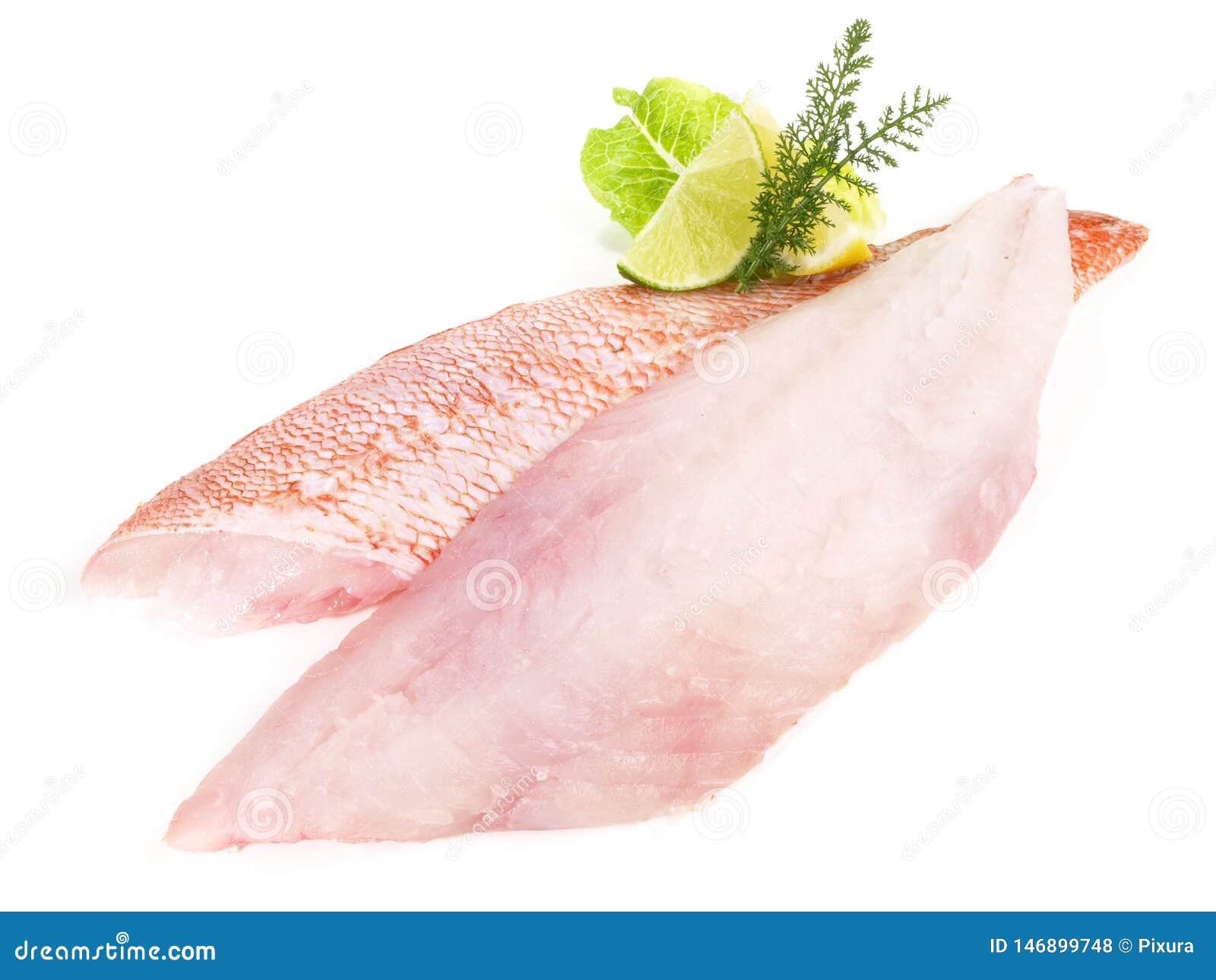 Red Perch Fillet on White stock photo. Image of filet - 146899748