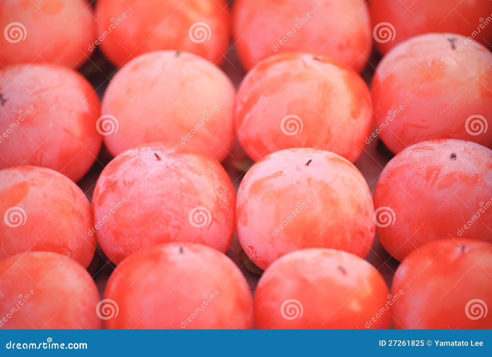 Red persimmon stock image. Image of agricultural, health - 27261825