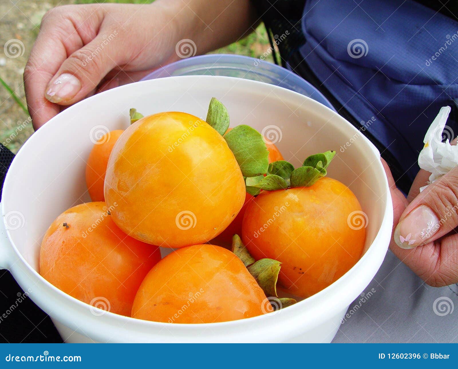 Red Persimmon in a box stock photo. Image of autumn, hand - 12602396