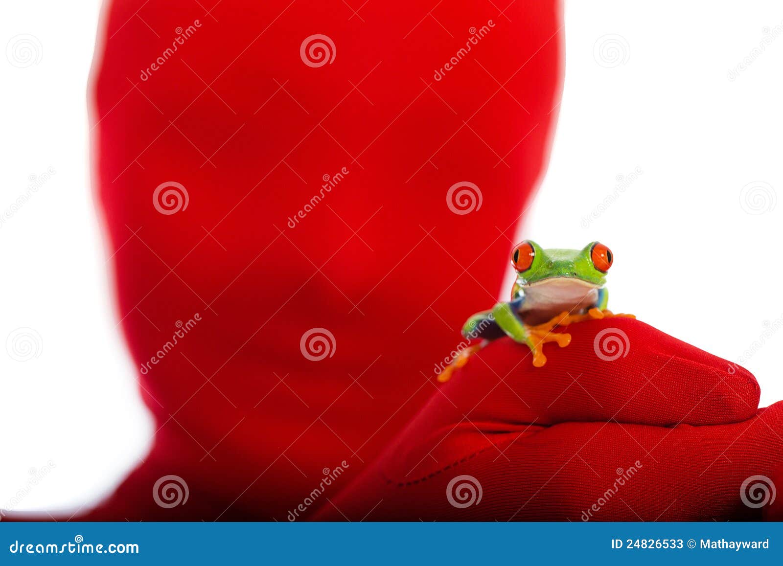 Red Person, Red Eyed Tree Frog Stock Image - Image of people, anonymity ...