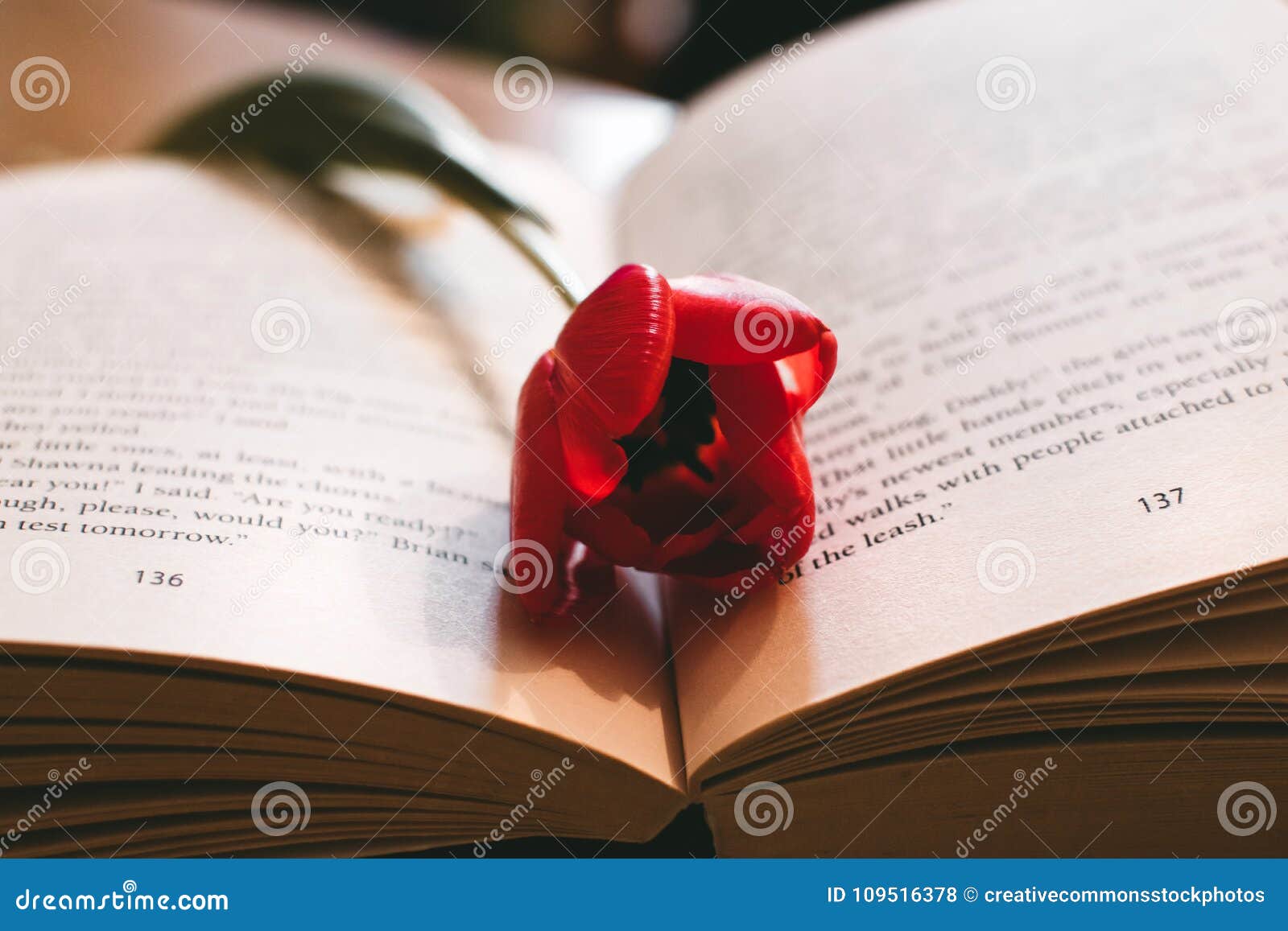 Red Petaled Flower Between The Book Page Picture. Image: 109516378