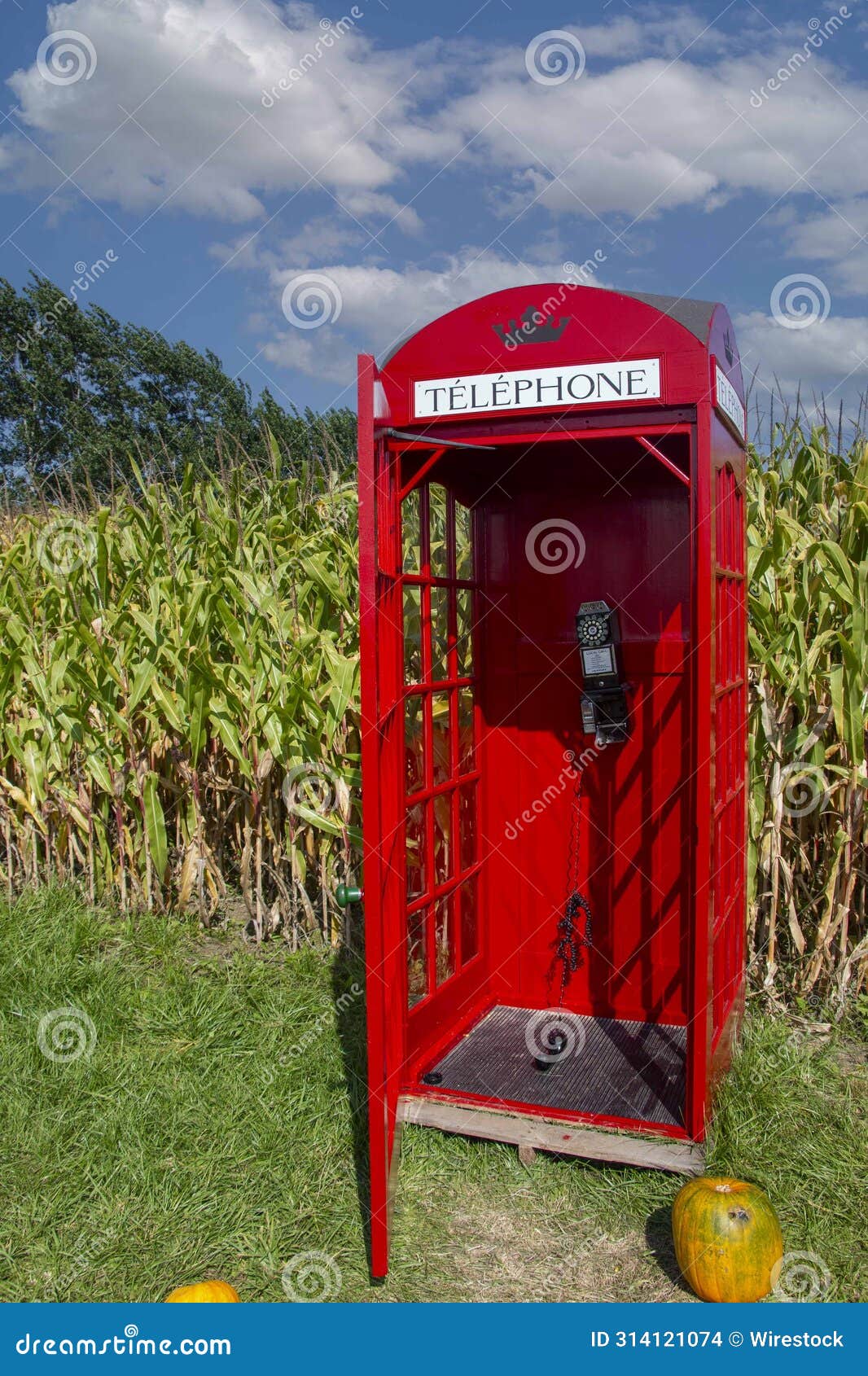 A Red Phone Booth in Front of a Corn Field with Pumpkins Editorial ...
