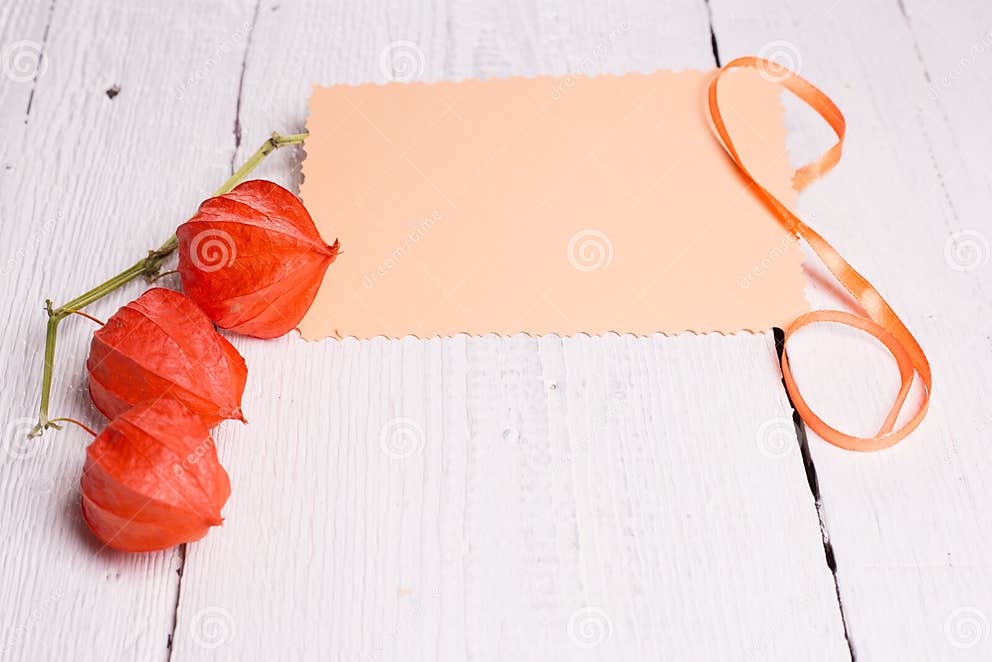 Red Physalis and Card for Your Text Stock Image - Image of announcement ...