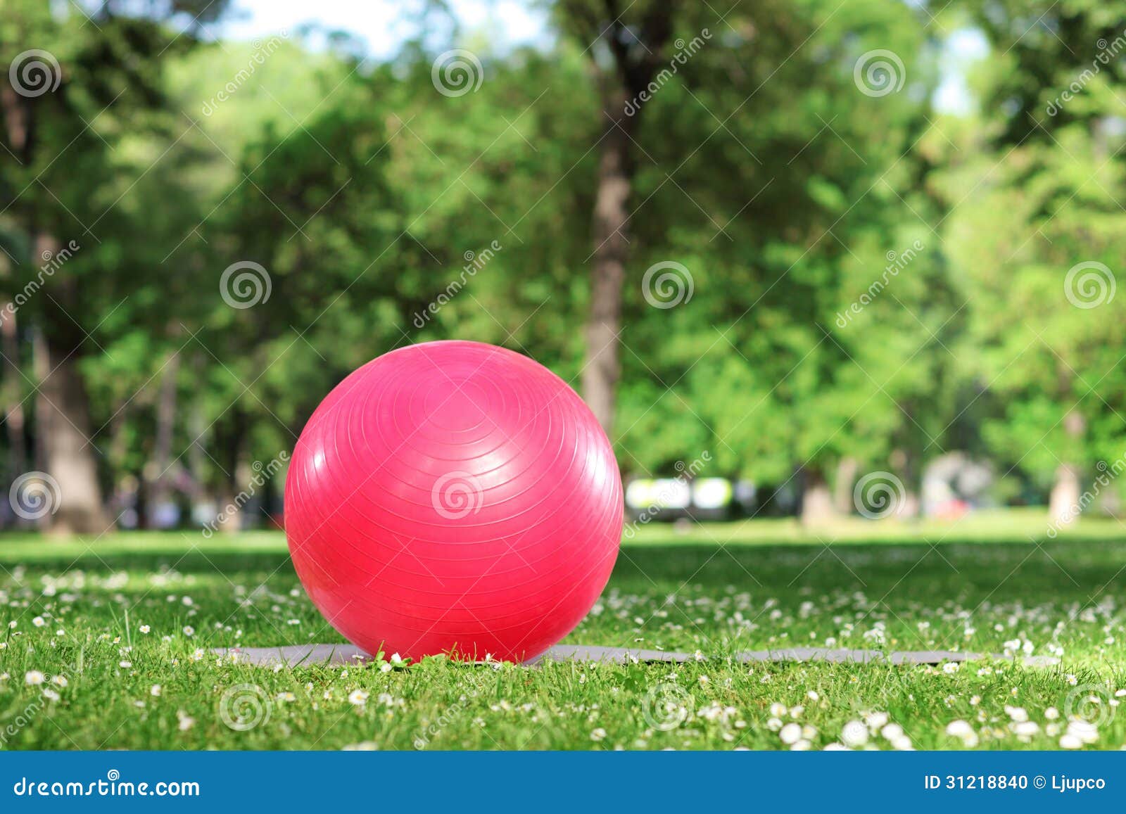 Red Pilates Ball on a Grass in a Park Stock Photo - Image of ...