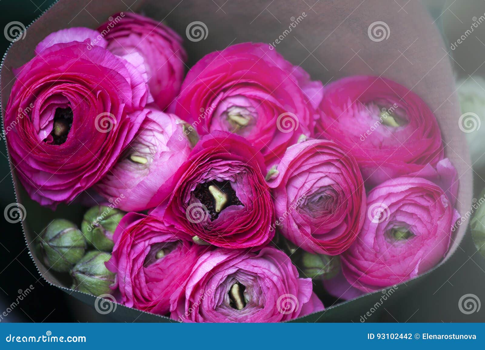 Red, Pink Flowers of the Ranunculus in Bouquet Stock Photo - Image of ...