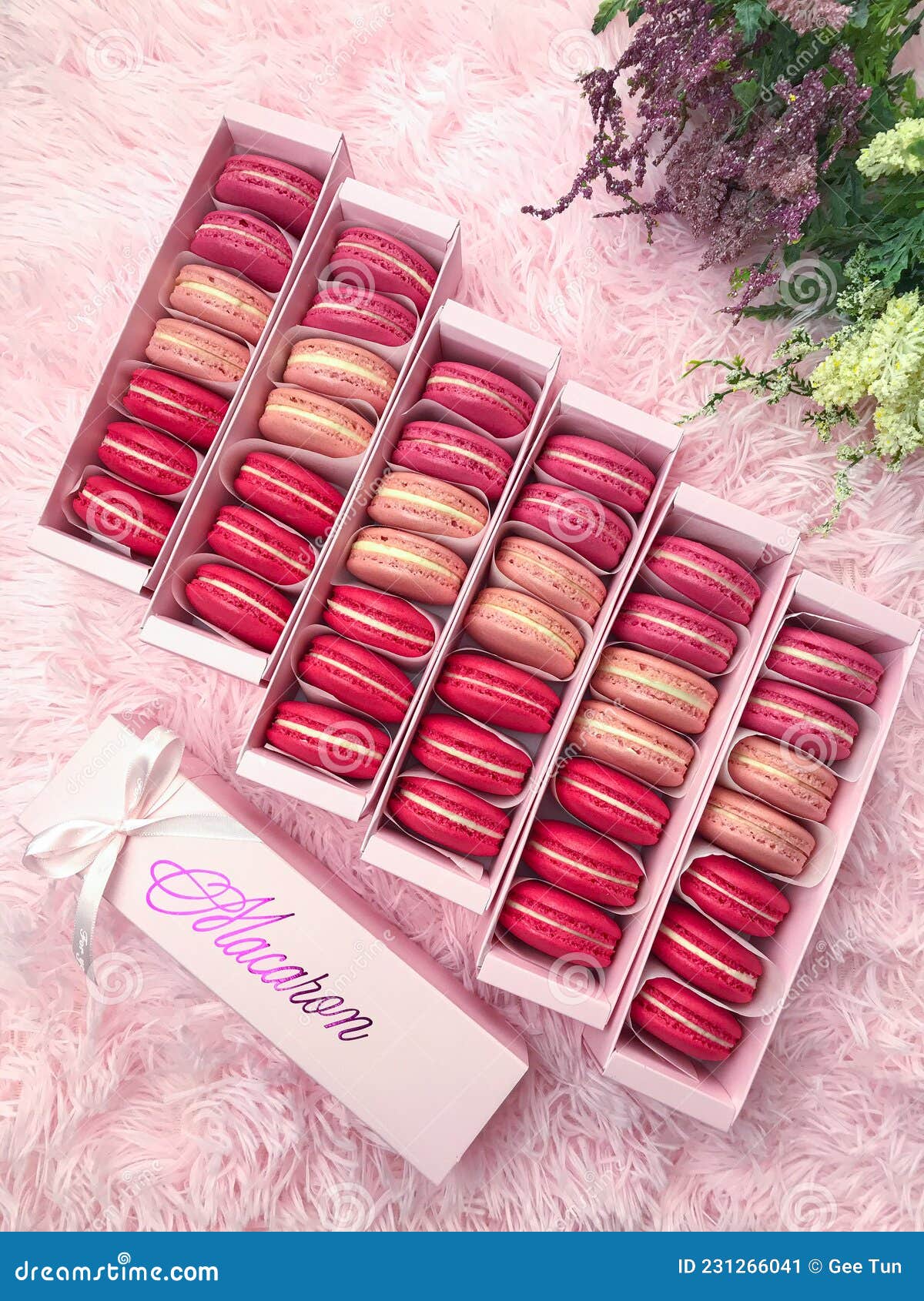 Red and Pink Macaron in Boxes Stock Image - Image of strawberries, cafe ...