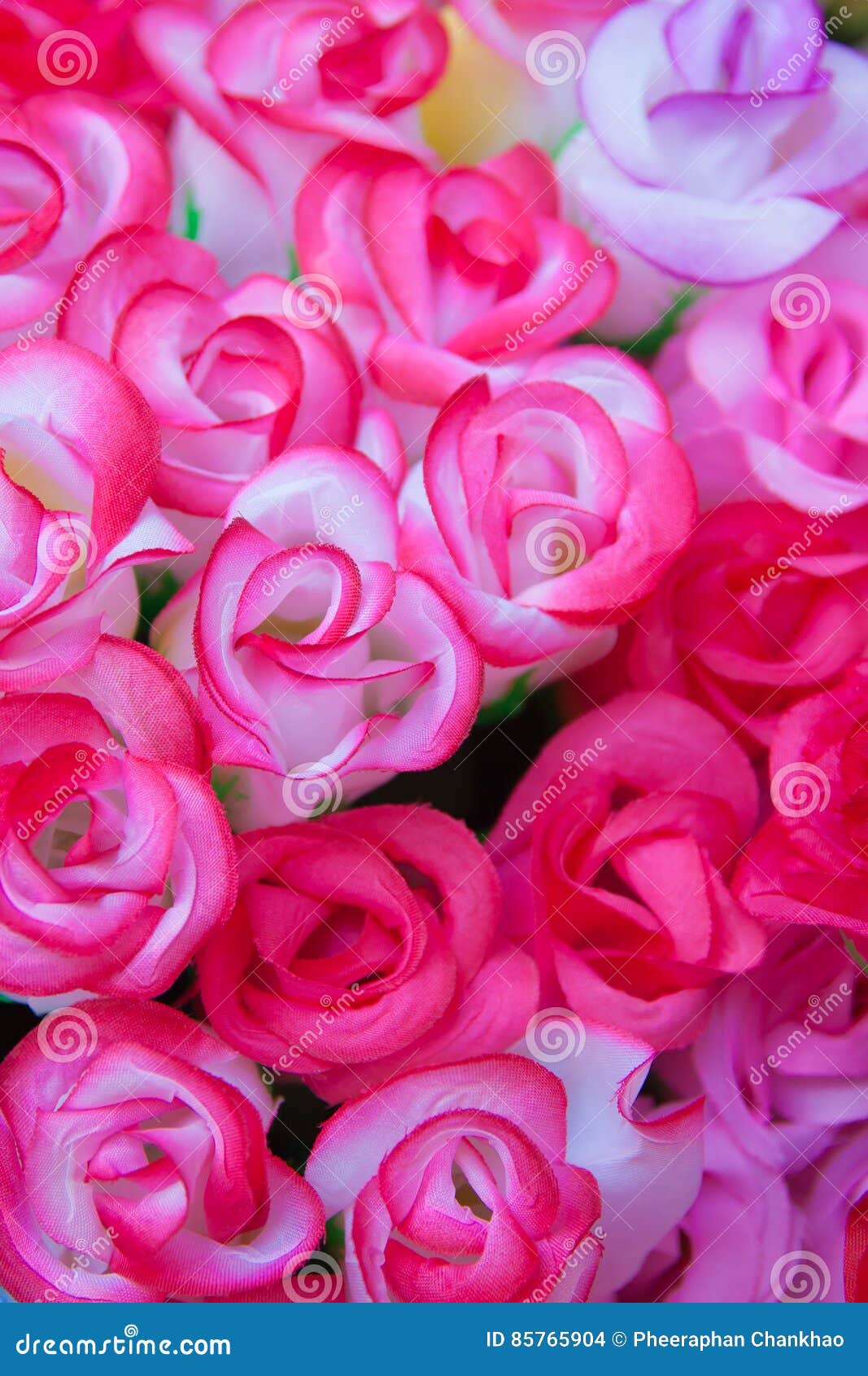Red and Pink Rose Flower Background Stock Photo - Image of february ...