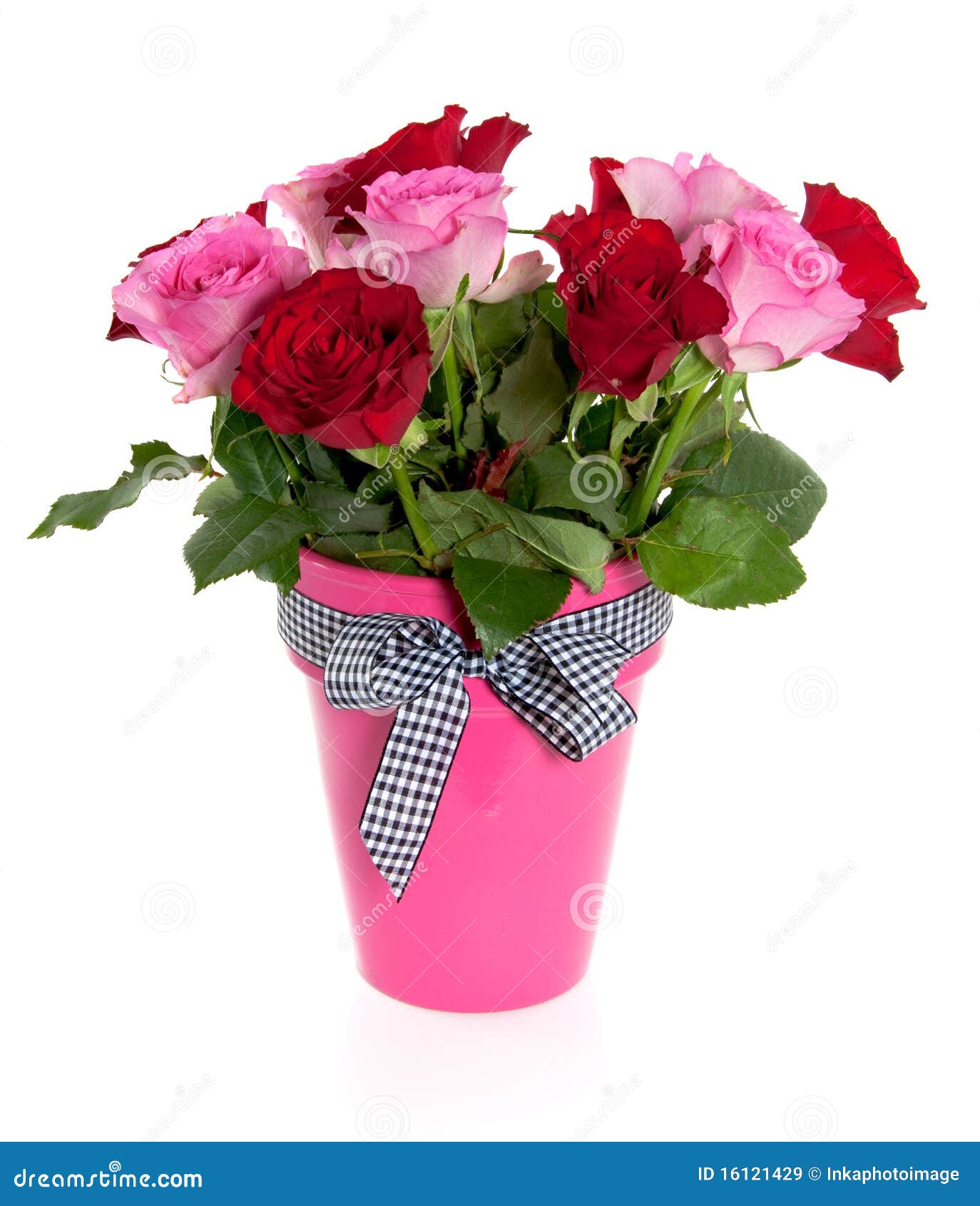 Red and Pink Roses in Pink Vase Stock Image - Image of vase, kinky ...
