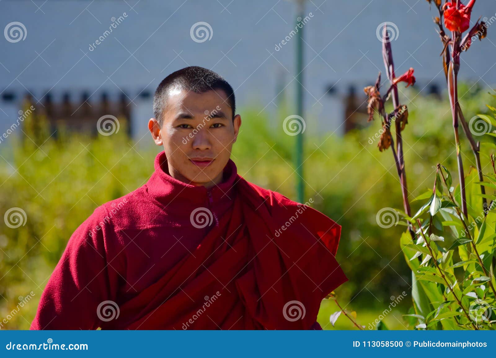 Red, Plant, Lama, Monk Picture. Image: 113058500