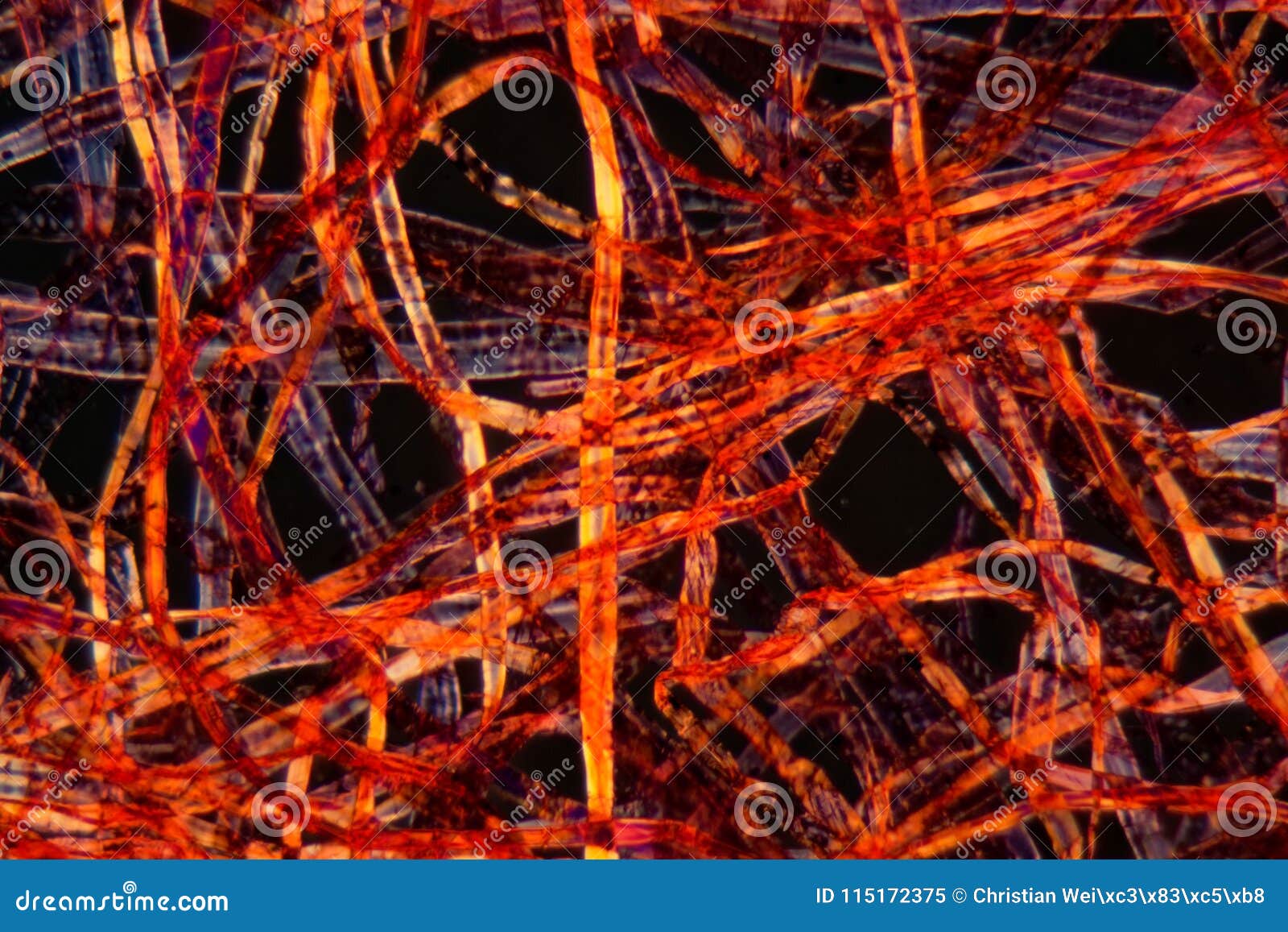 Red Plastic Fibers Under the Microscope Stock Image - Image of thread ...