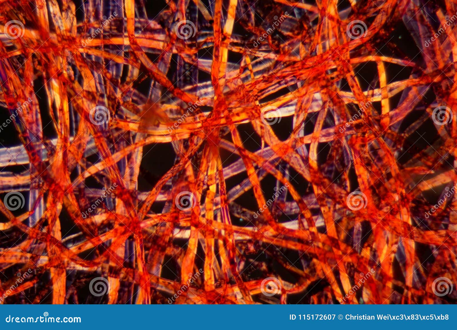 Red Plastic Fibers Under the Microscope Stock Image - Image of ...