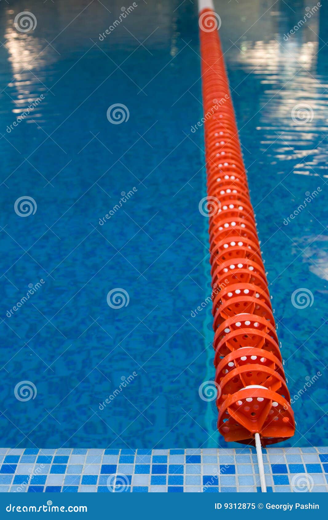 Red Plastic Line in Swimming Pool Stock Image - Image of ripple, cold ...