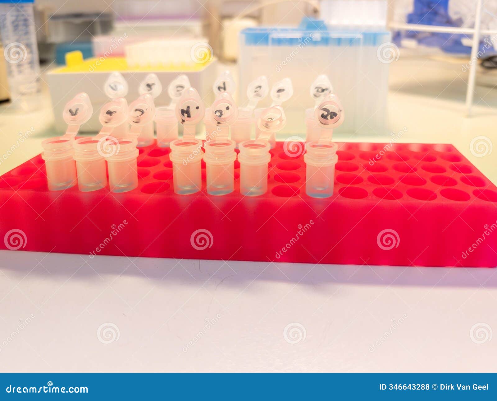Red Plastic Rack with Eppendorf Test Tubes in a Laboratory Setting ...