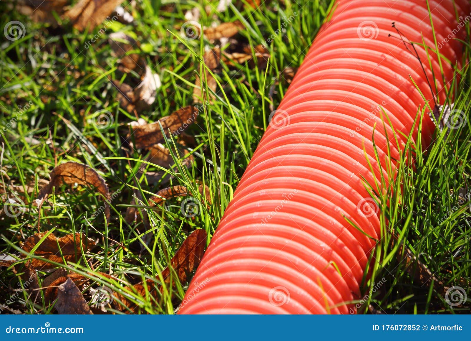 Red Water Pipe Lying on Green Grass Stock Photo - Image of bright ...