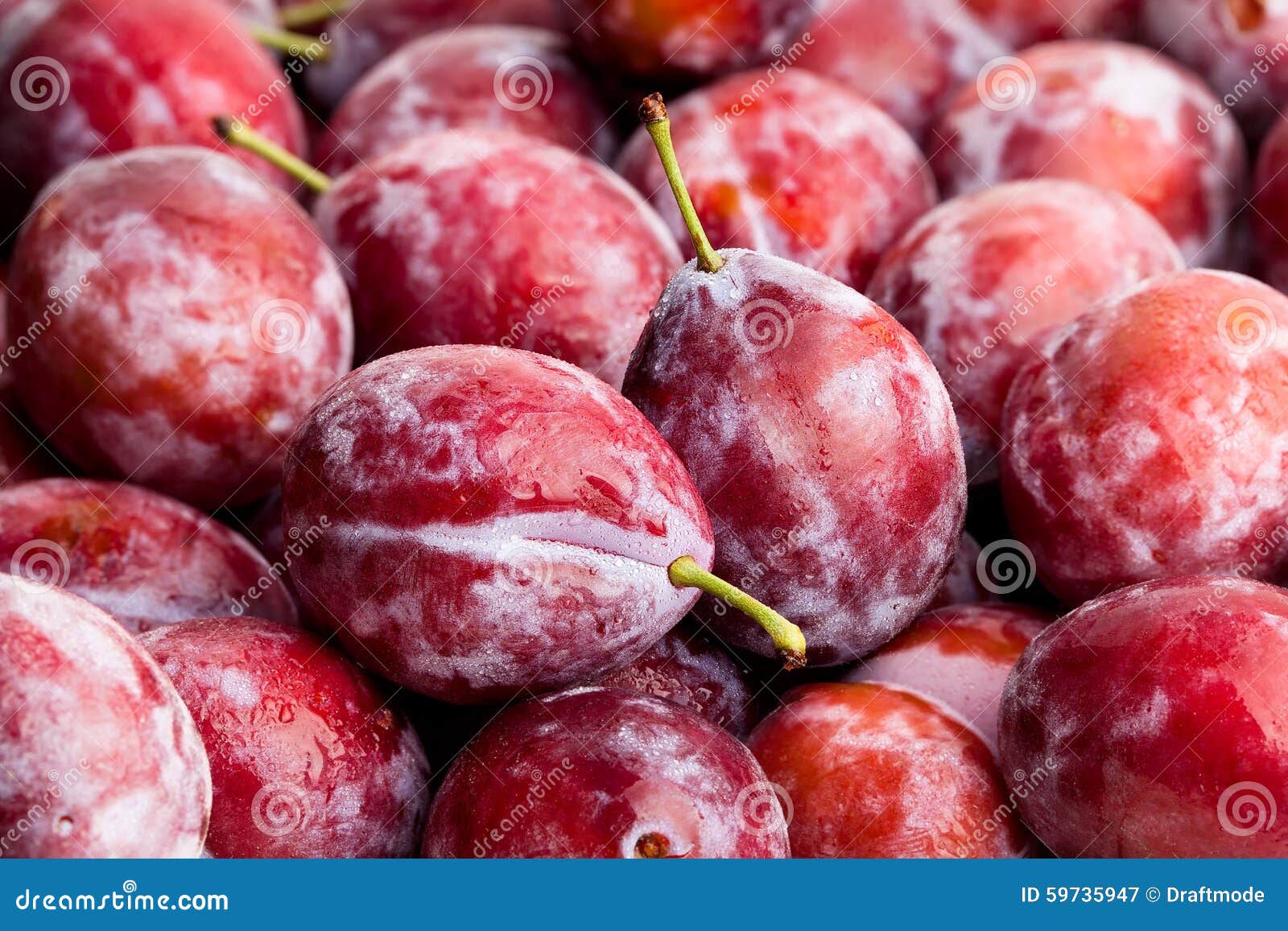 Red plum stock image. Image of delicious, colorful, fresh - 59735947