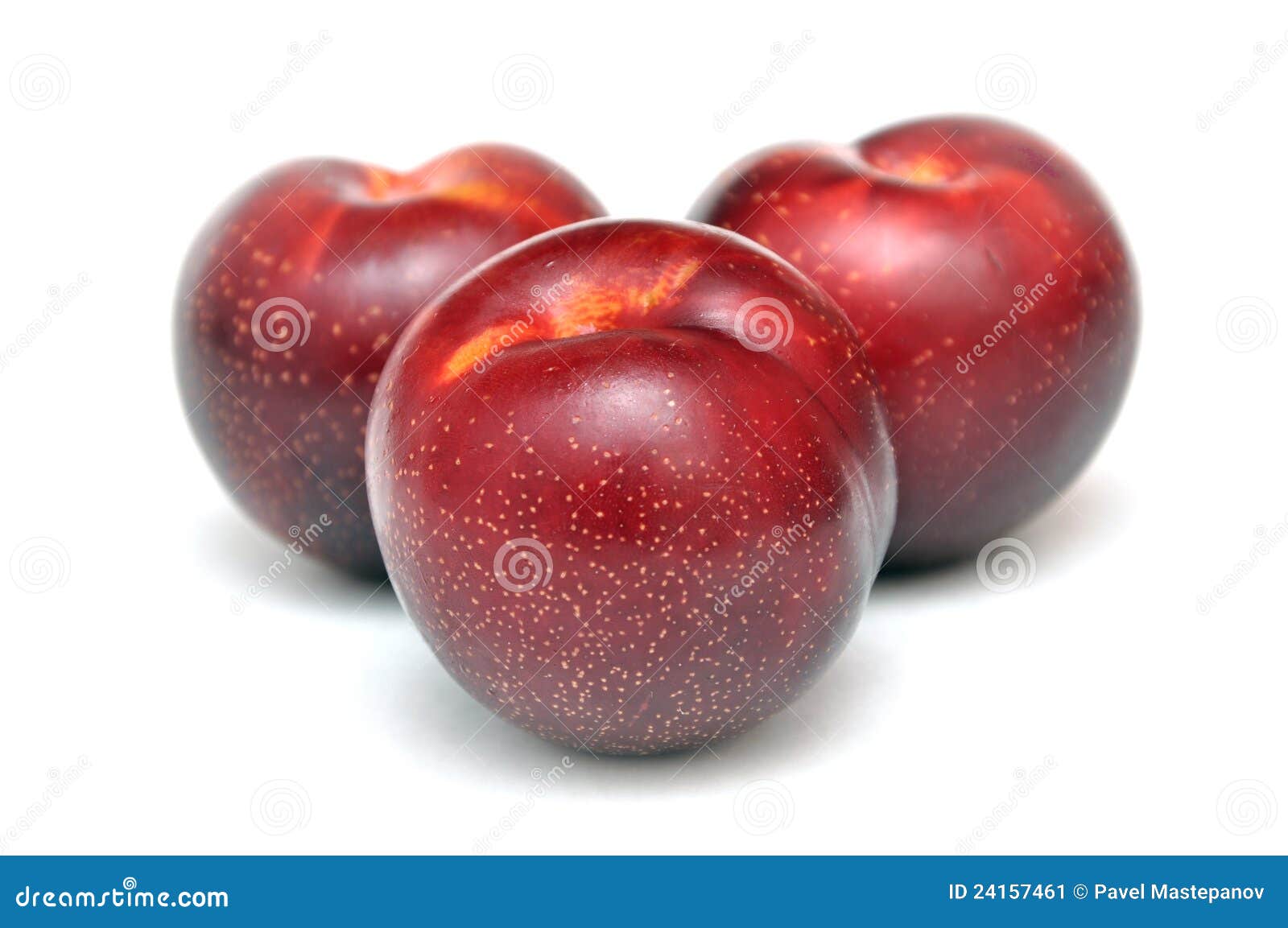 Red plum fruit stock image. Image of isolated, glossy - 24157461