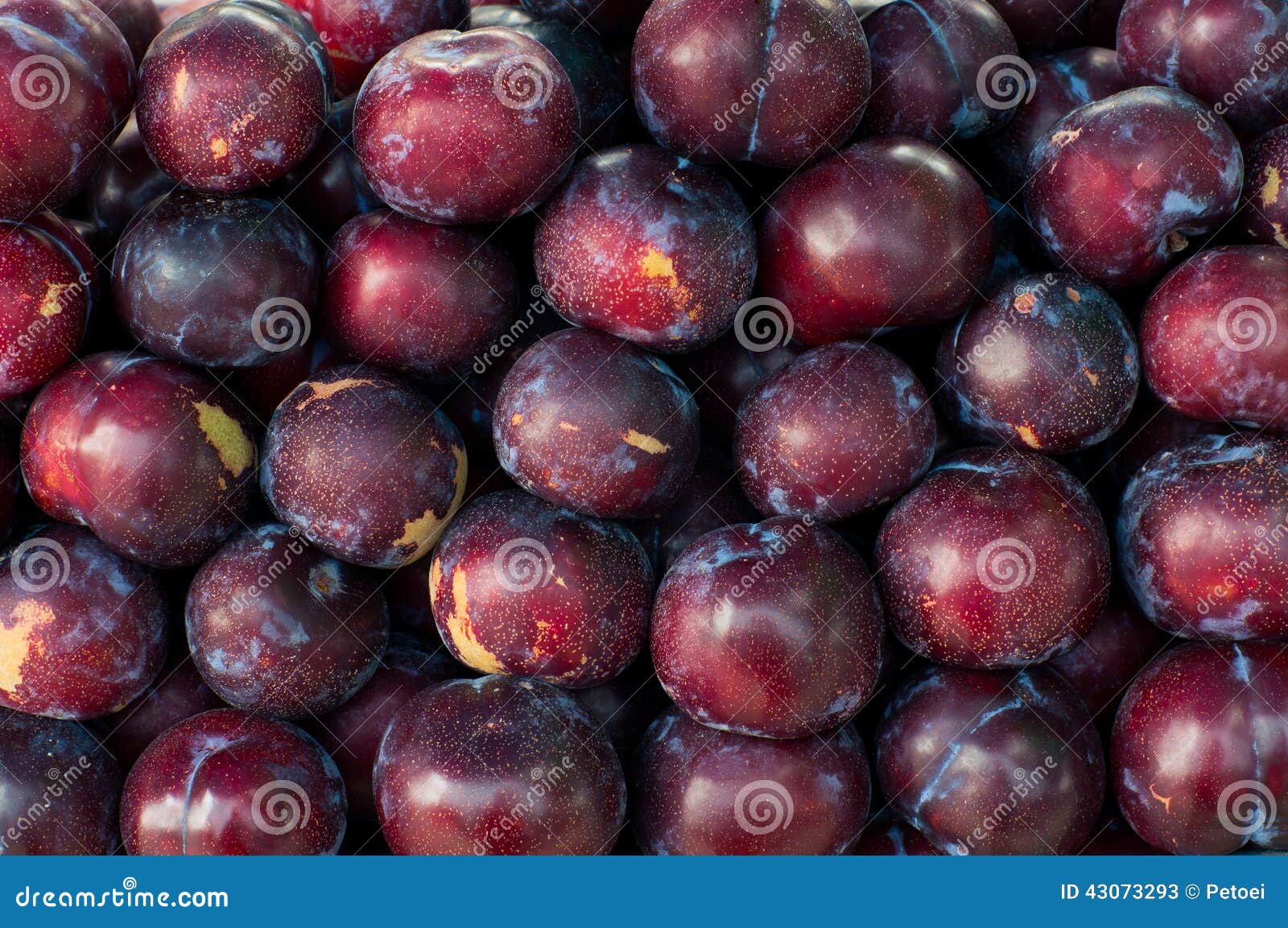 Red plum stock image. Image of vegetarian, fruit, diet - 43073293