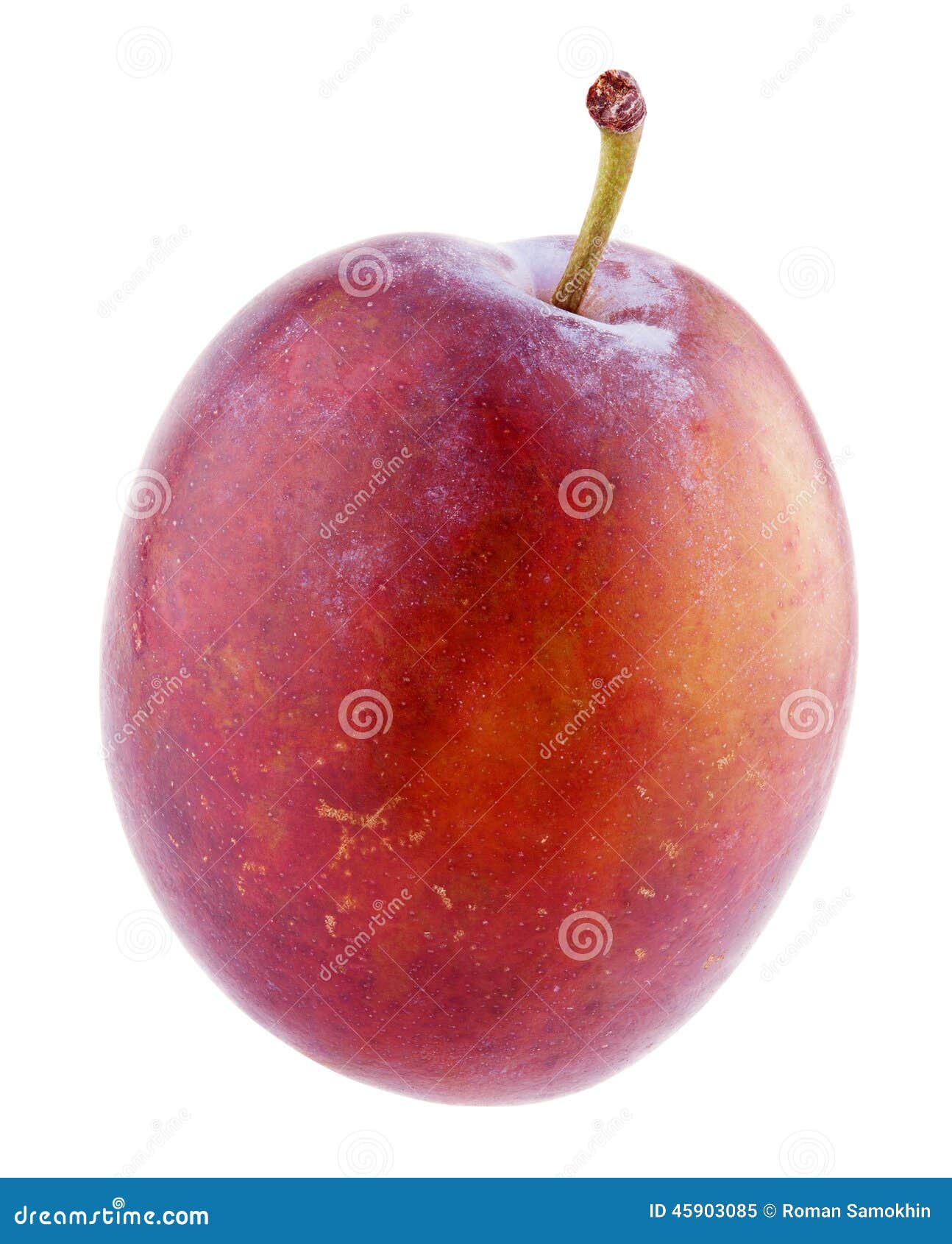 Red plum isolated on white stock image. Image of healthy - 45903085