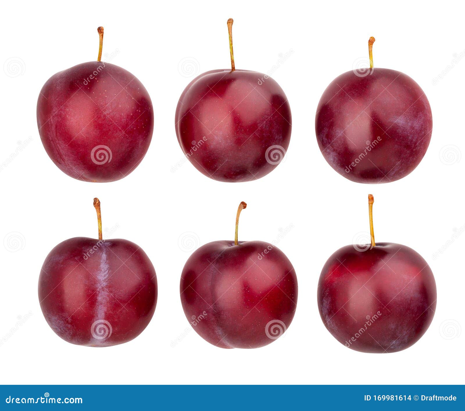 Red plum stock photo. Image of studio, healthy, antioxidant - 169981614
