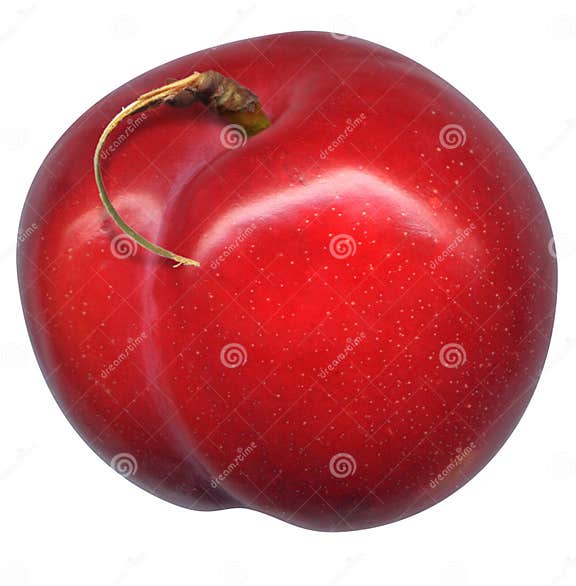 Red plum with stem stock image. Image of blush, health - 190521