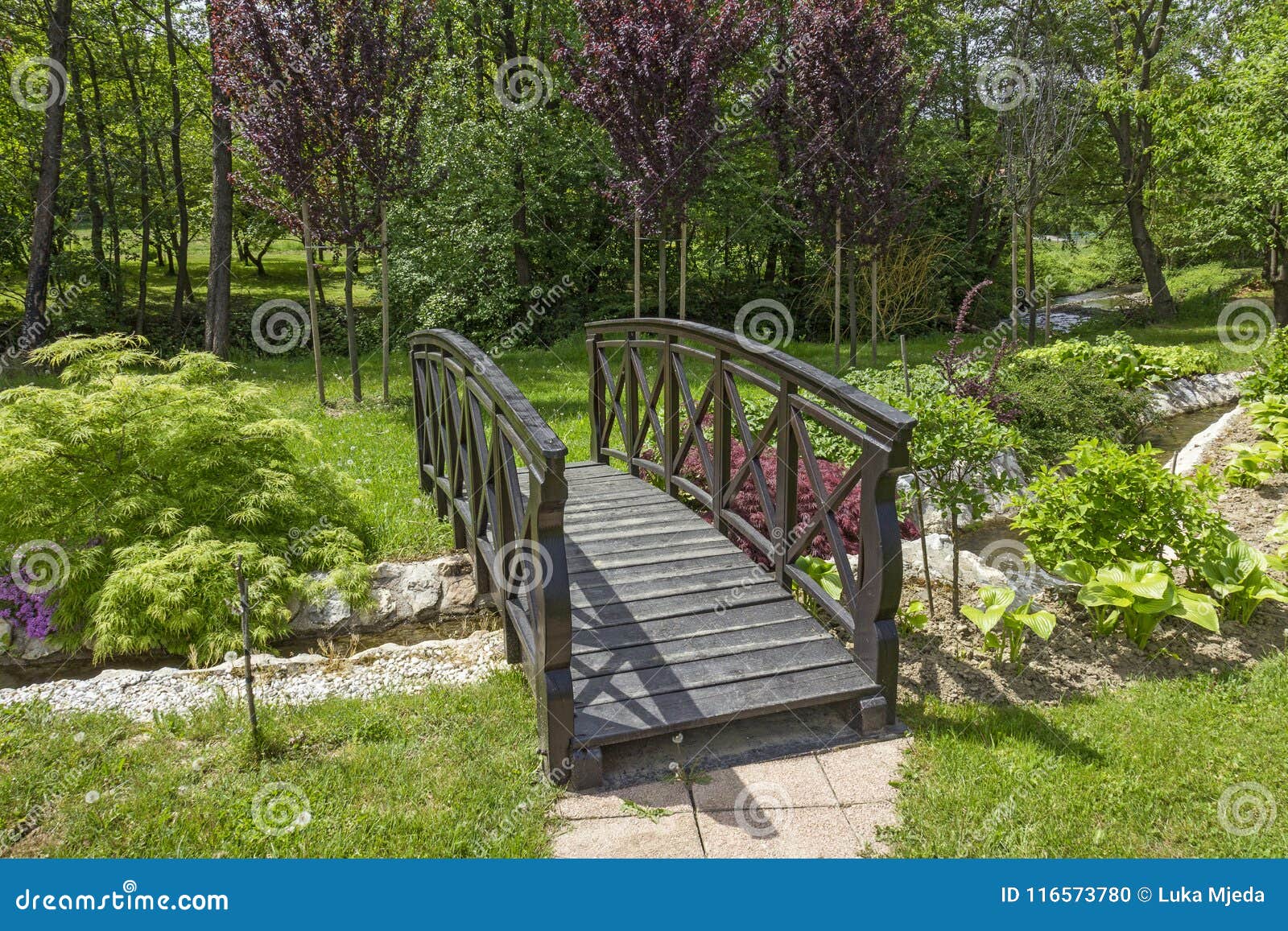 Red Plum Trees beside a Brook and Little Wooden Bridge Editorial Image ...